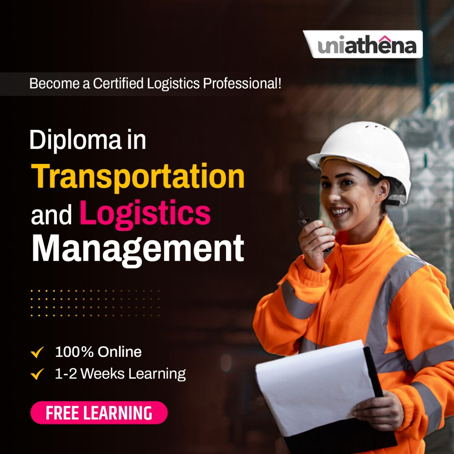 Streamlining Success: A Comprehensive Guide to Transport & Logistics Management - ezine articles