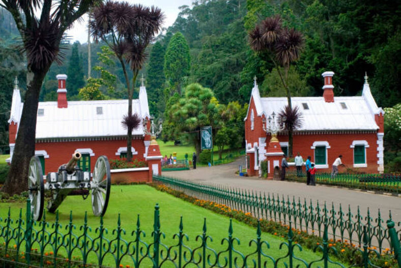 Explore the Best Mysore Ooty Coorg Tour Package 2024: A Complete Travel ...