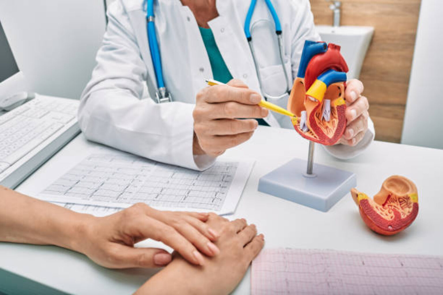 How Do Cardiologists Diagnose and Treat Heart Disease? - ezine articles