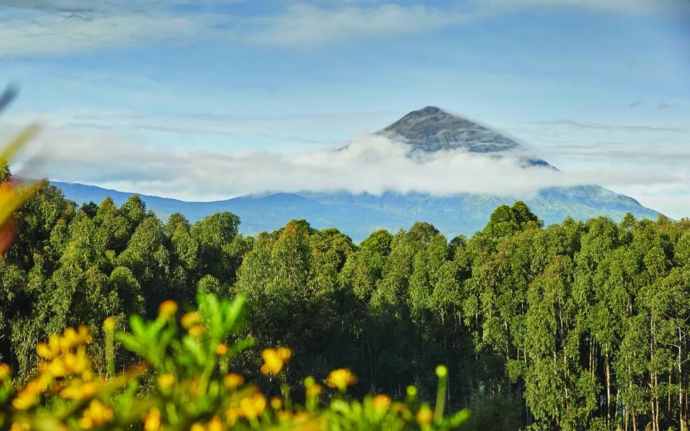 The Best Time to Visit Rwanda - ezine articles