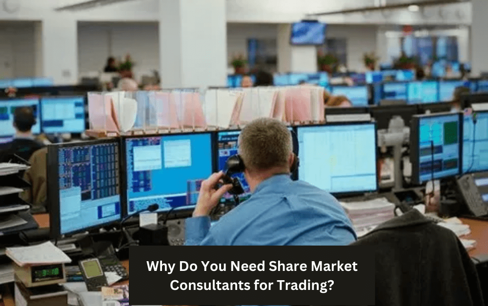 Why Do You Need Share Market Consultants for Trading? - ezine articles