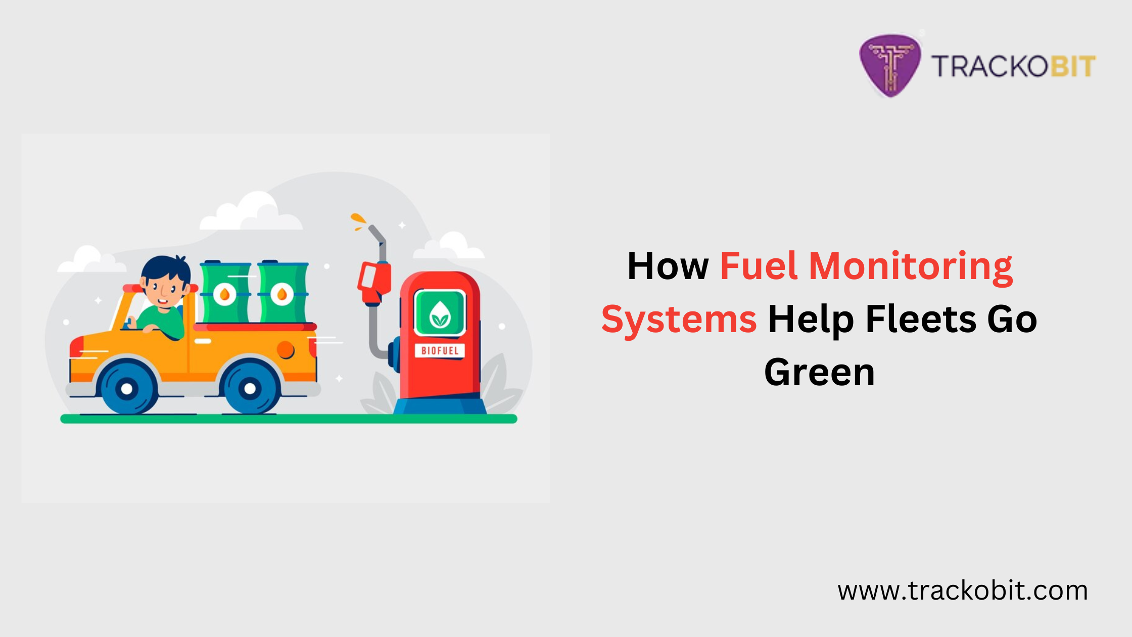 Sustainability and Fuel Monitoring Systems: Driving Green Fleet ...