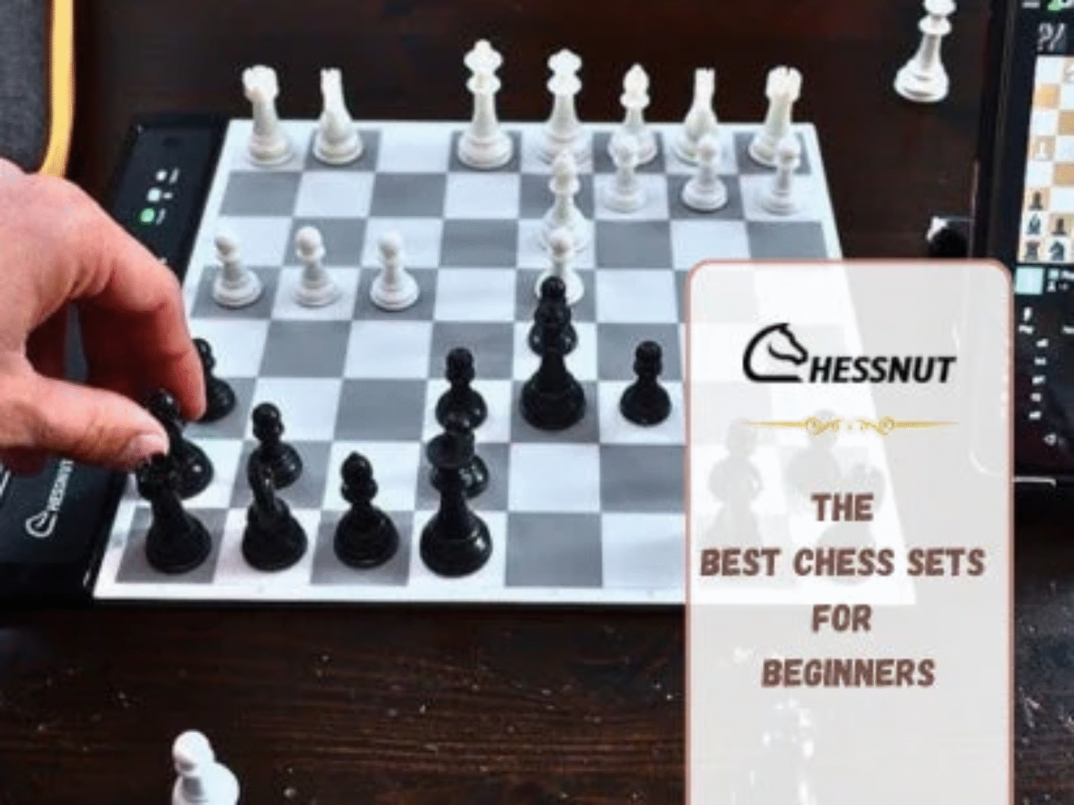 Best Chess Sets for Beginners: Start Your Chess Journey with Chessnut ...